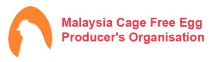 Why Cage-Free and Free-Range Eggs Matter: Ethical and Environmental ...